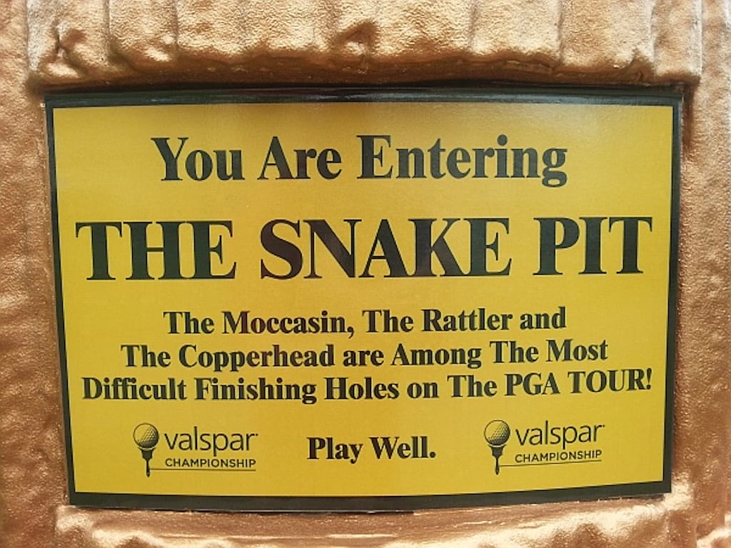 The Snake Pit ready to strike fear into Valspar competitors - Irish ...